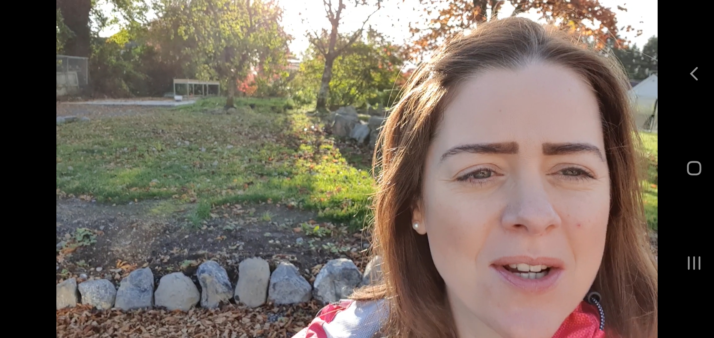 'Shedding' and 'Letting Go' during Autumn and Covid-19 - Leona ...